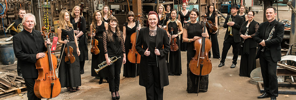The Metropolitan OrchestraAbout TMO